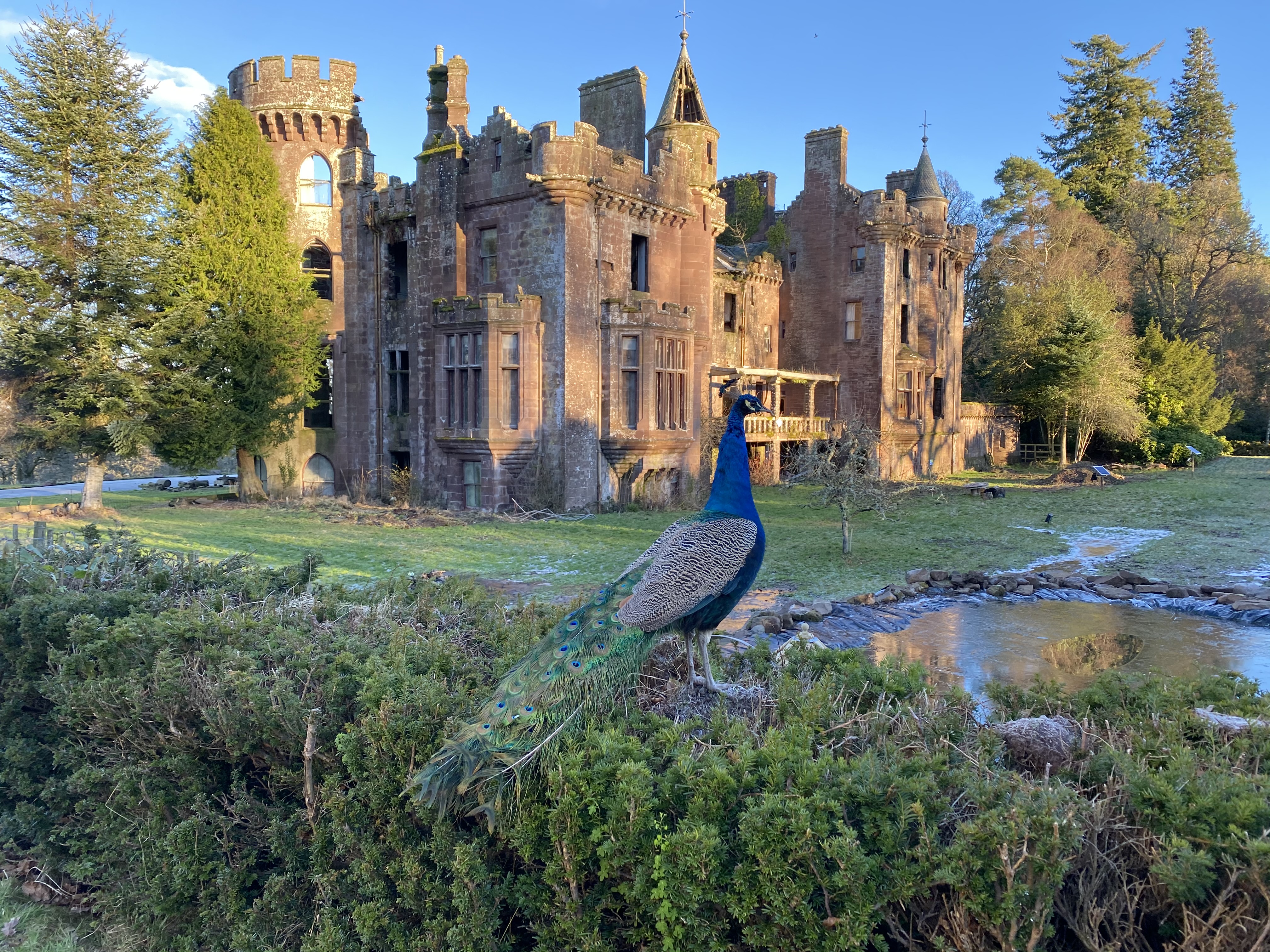 Culdees Castle Estate | Wedding venue | Bridebook