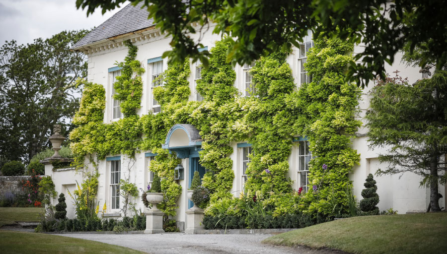 Gileston Manor | Wedding venue | Bridebook